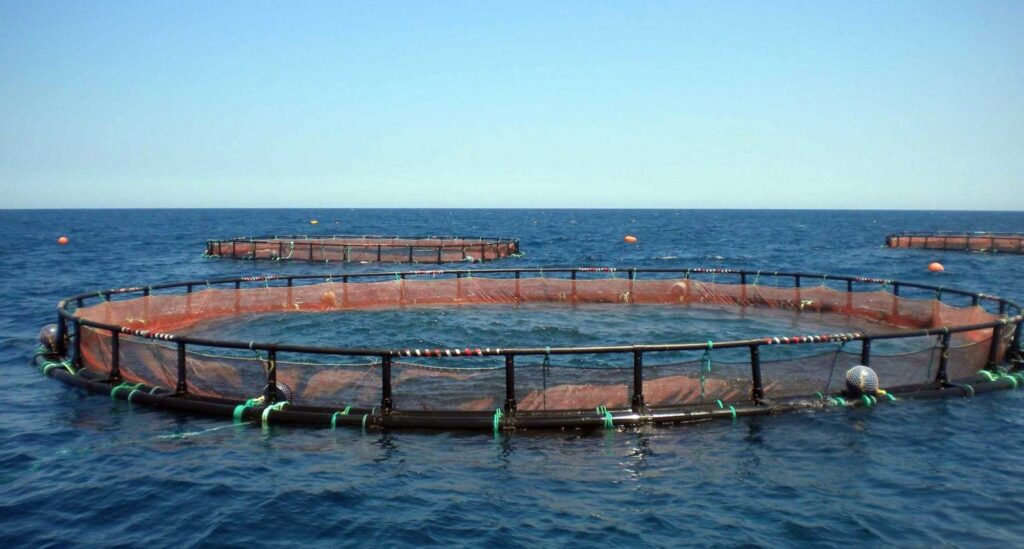 Burkina Faso Launches Floating Cage Fish Farming Project in Dori to ...